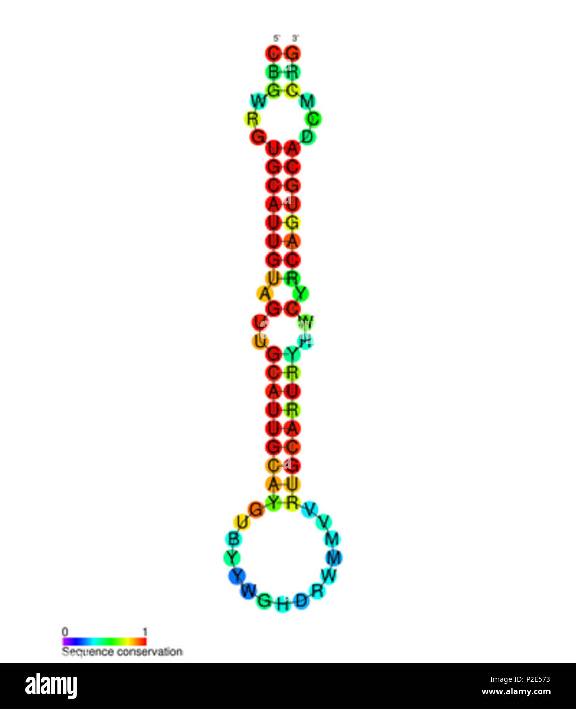 Ss 33 hi-res stock photography and images - Alamy