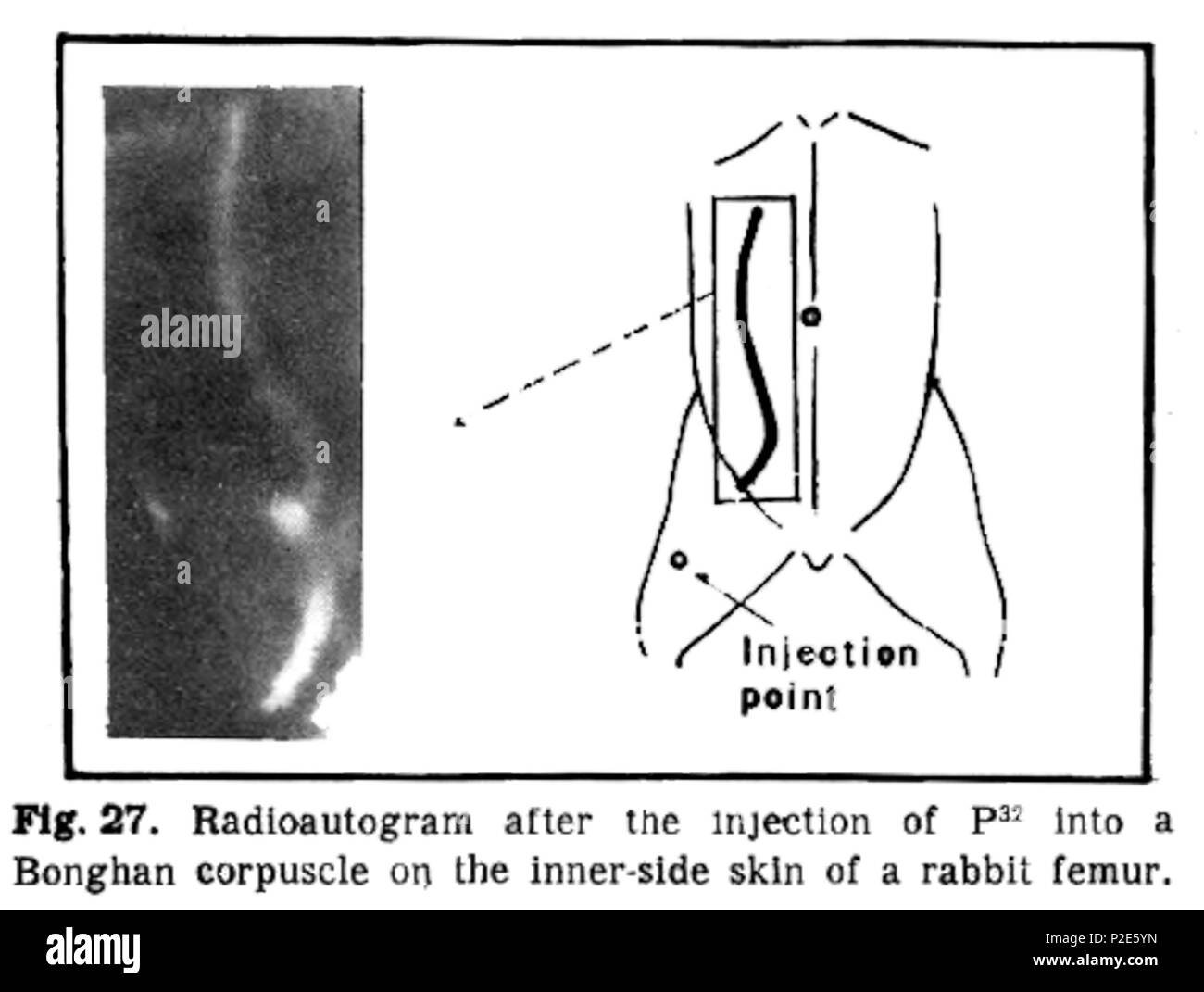The system 1964 hi-res stock photography and images - Alamy
