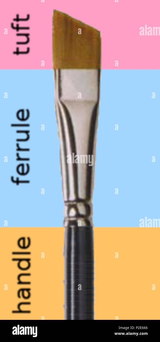 40 Parts of a Paintbrush Stock Photo - Alamy