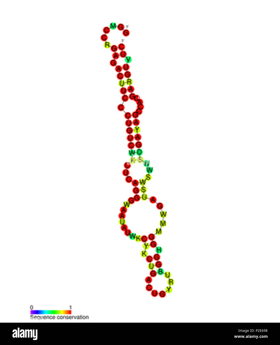Ss 41 hi-res stock photography and images - Alamy