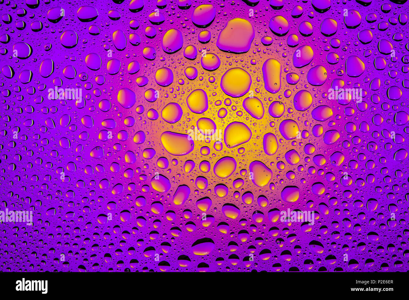 Close up of a water drops on a purple and yellow gradient background ...