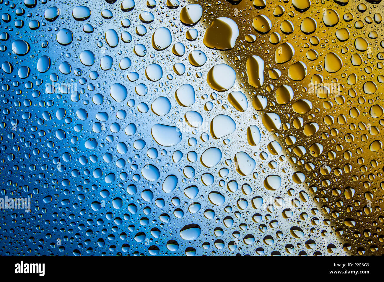 Close up of a water drops on a blue and brown gradient background ...