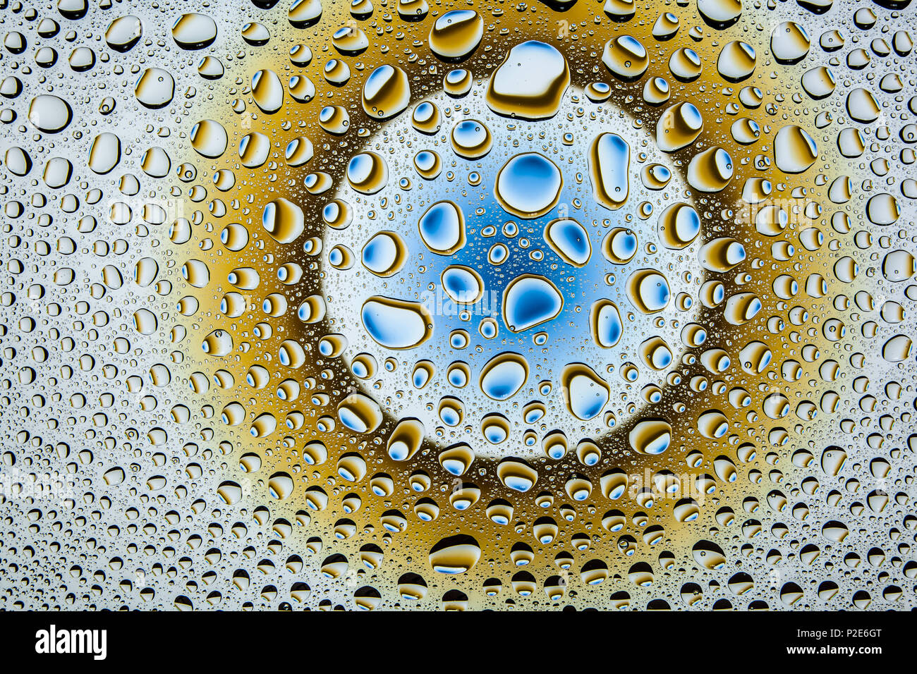 Close up of a water drops on a blue and brown gradient background ...