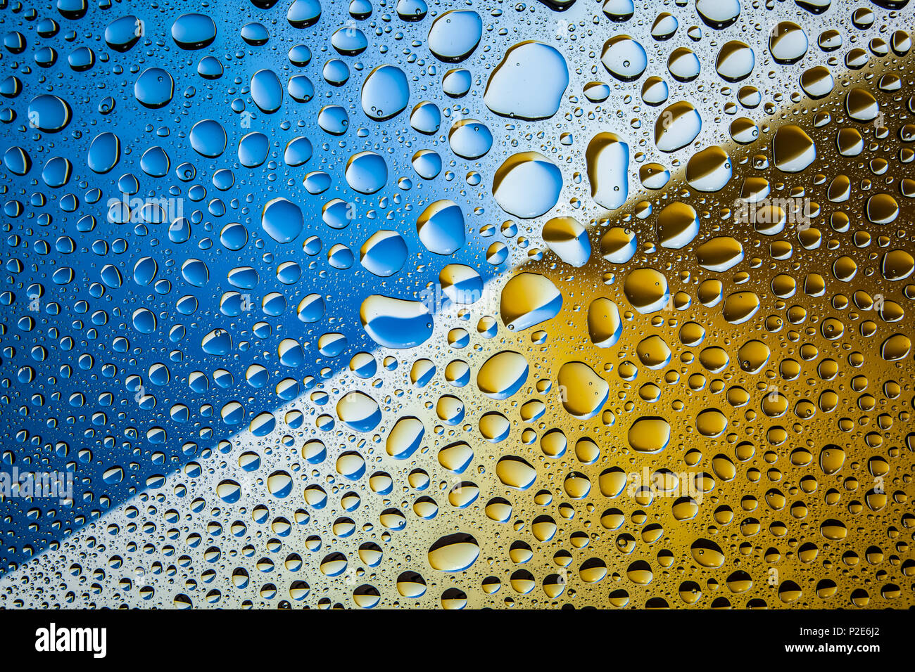 Close up of a water drops on a blue and brown gradient background ...