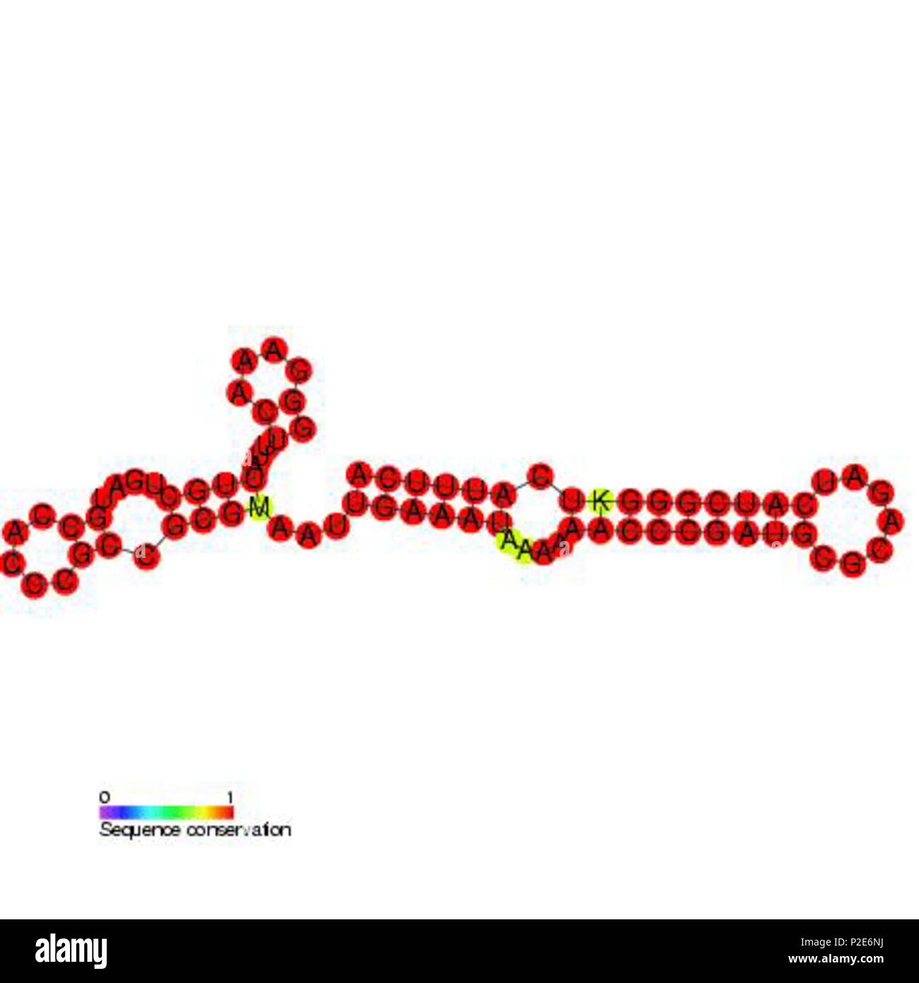 Part author Cut Out Stock Images & Pictures - Alamy