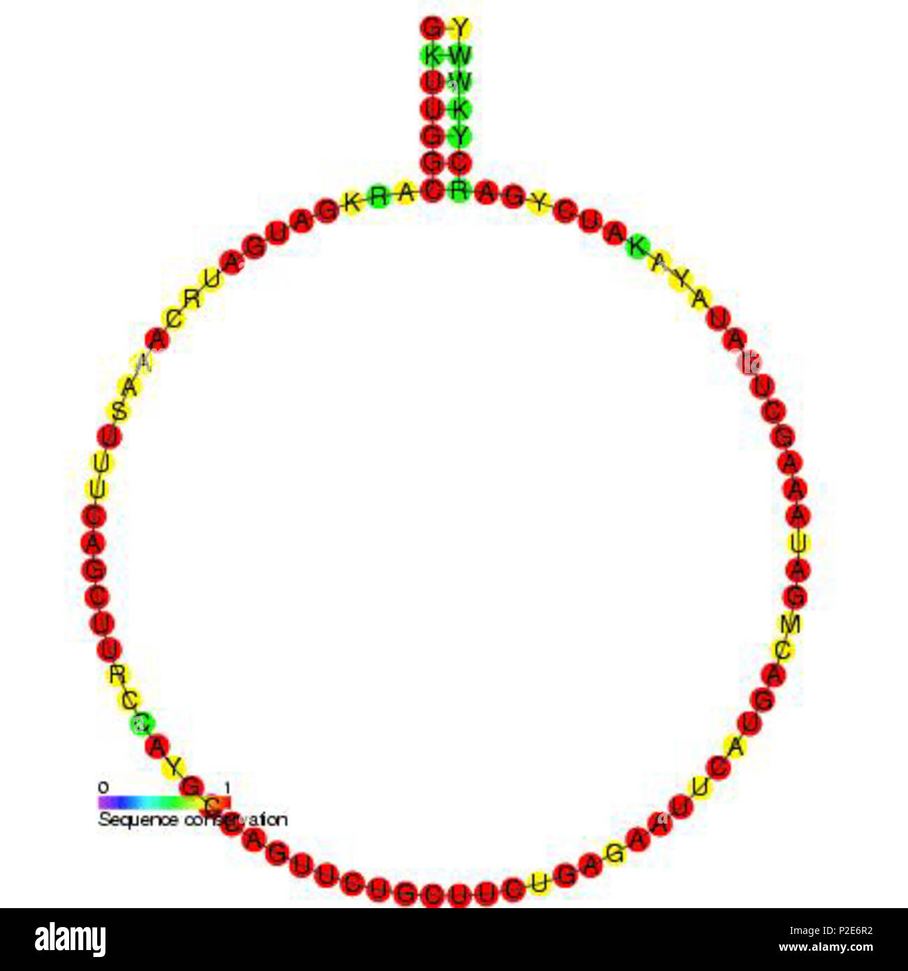 Molecular databases hi-res stock photography and images - Alamy