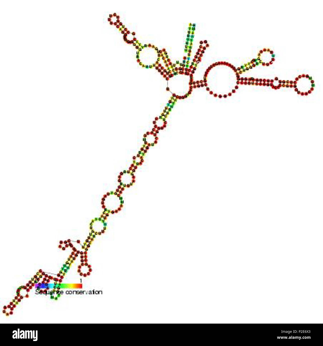 Protein information database Cut Out Stock Images & Pictures - Alamy