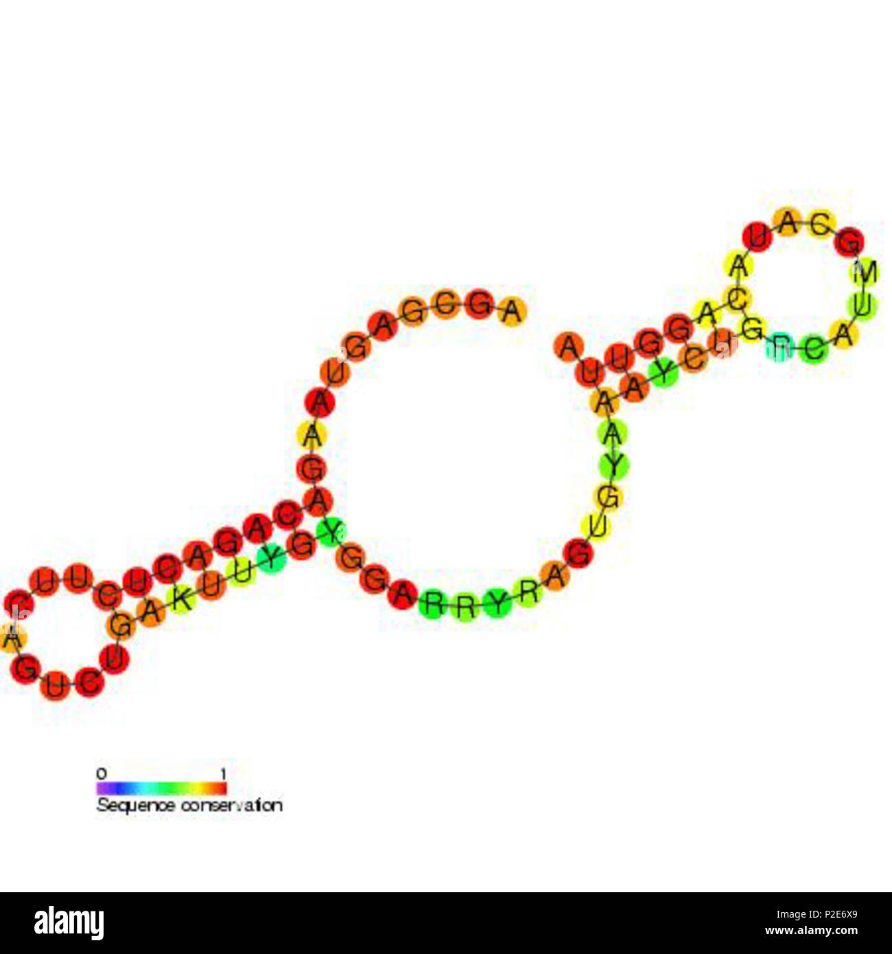 Protein information database Cut Out Stock Images & Pictures - Alamy