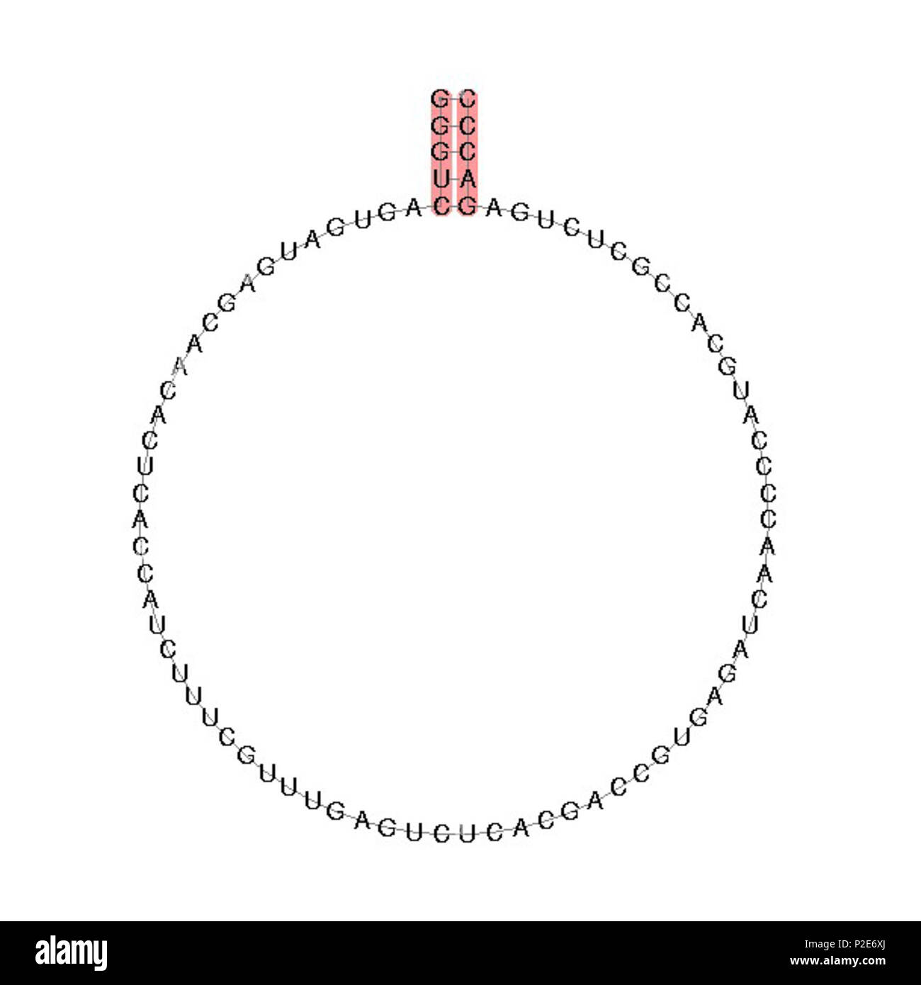Protein information database Cut Out Stock Images & Pictures - Alamy