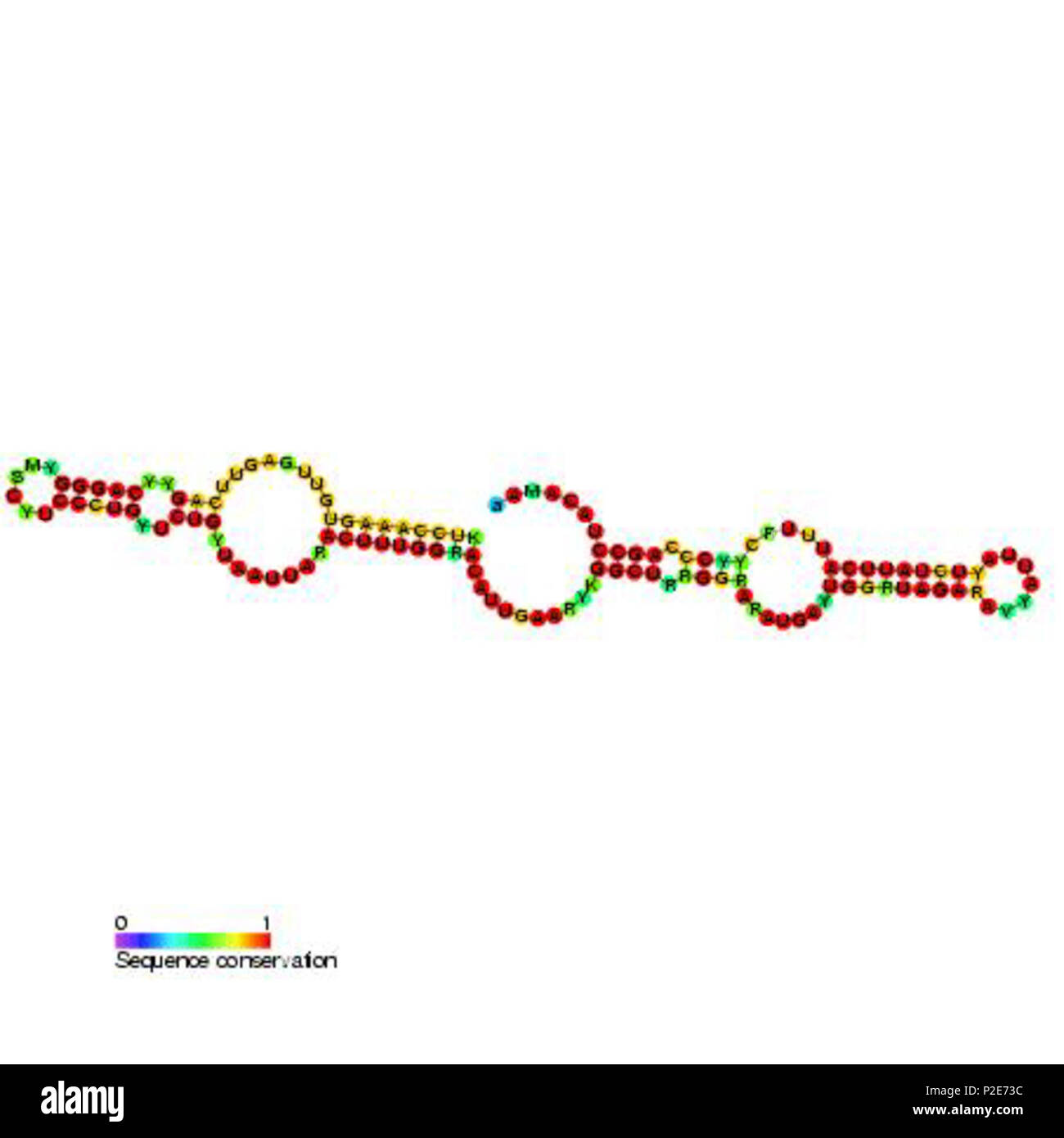 Molecular databases hi-res stock photography and images - Alamy