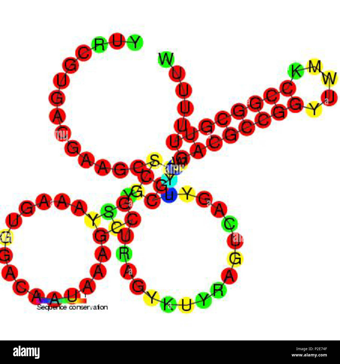 Molecular databases hi-res stock photography and images - Alamy