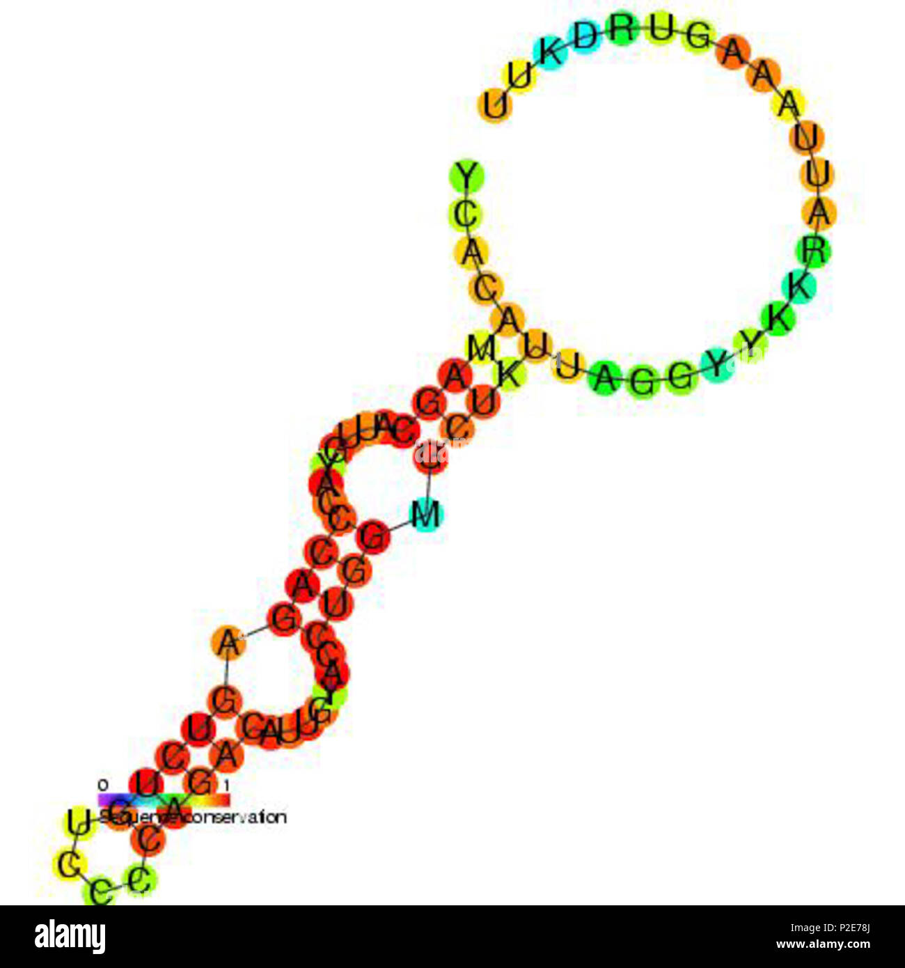 Molecular characterization hi-res stock photography and images - Alamy
