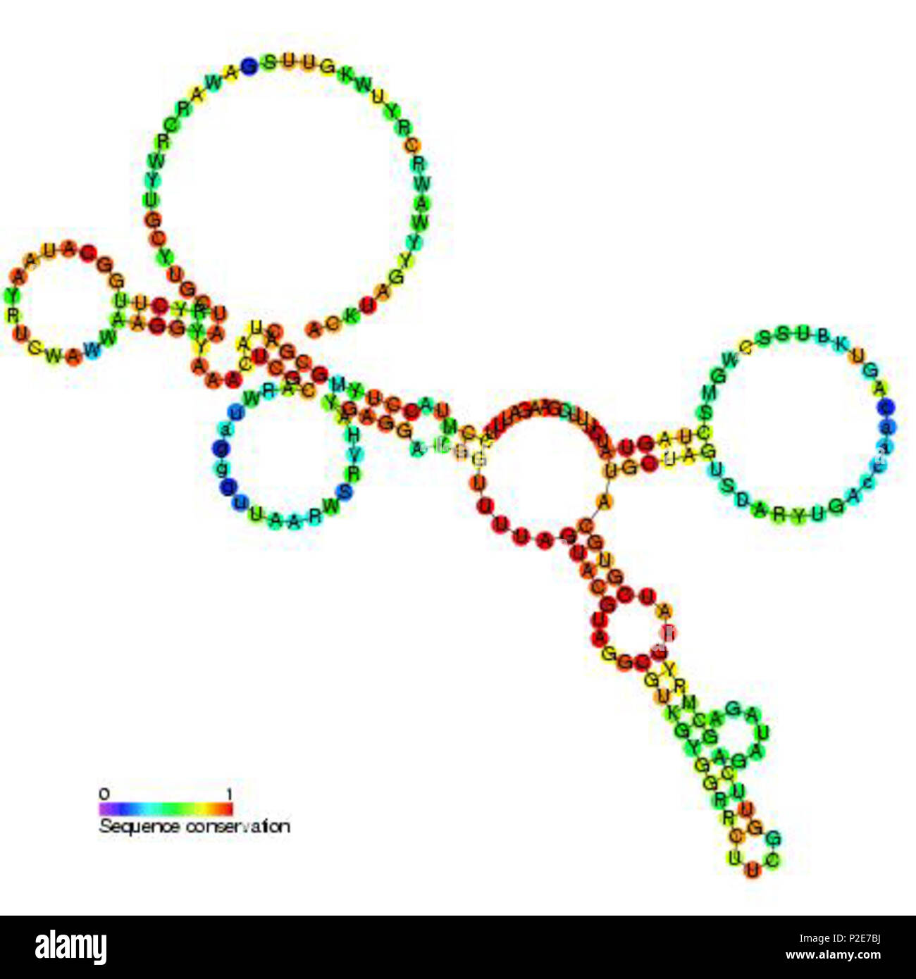 Protein information database Cut Out Stock Images & Pictures - Alamy