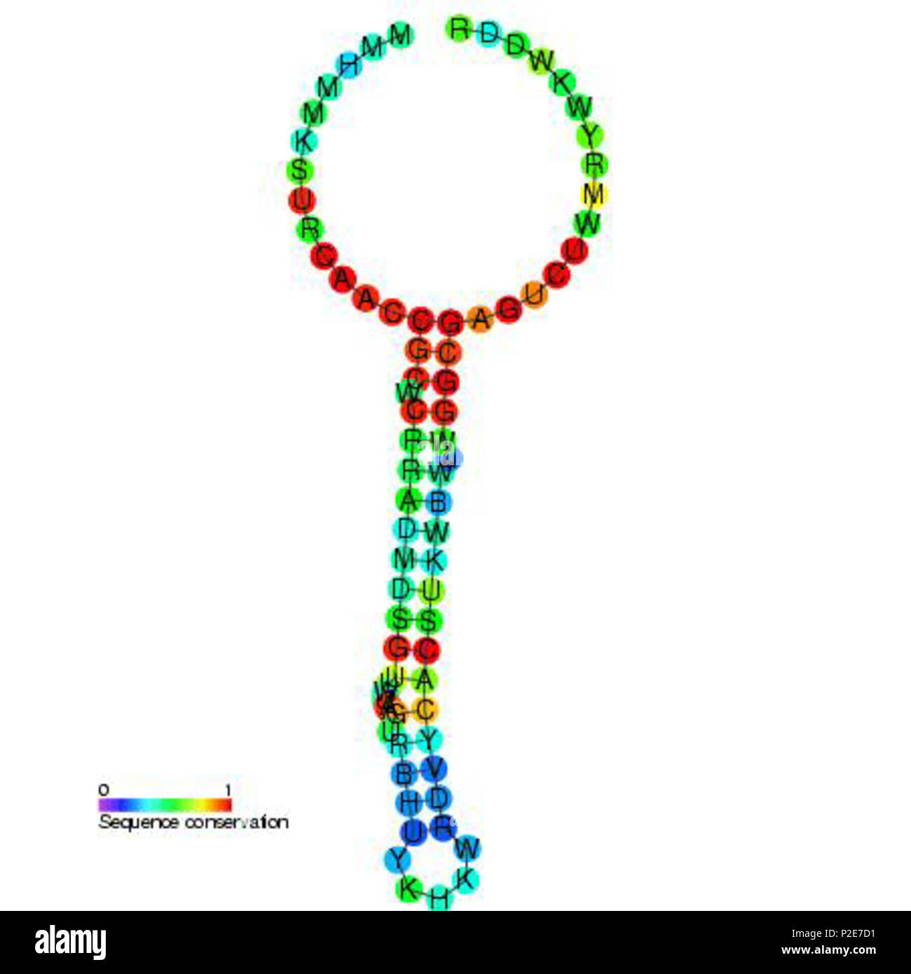 Molecular databases hi-res stock photography and images - Alamy