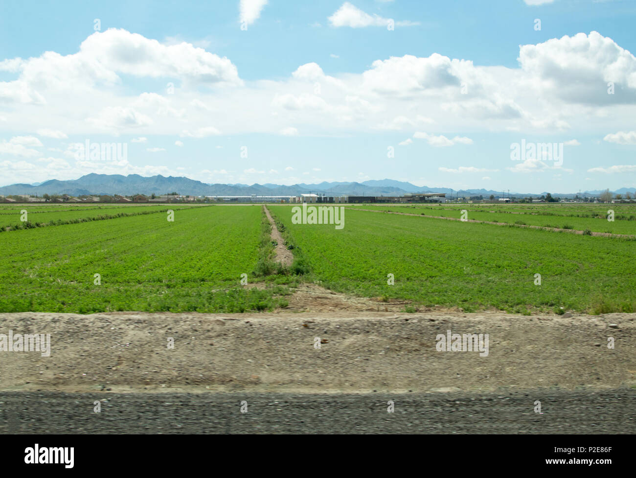 A green field in Arizona Stock Photo - Alamy