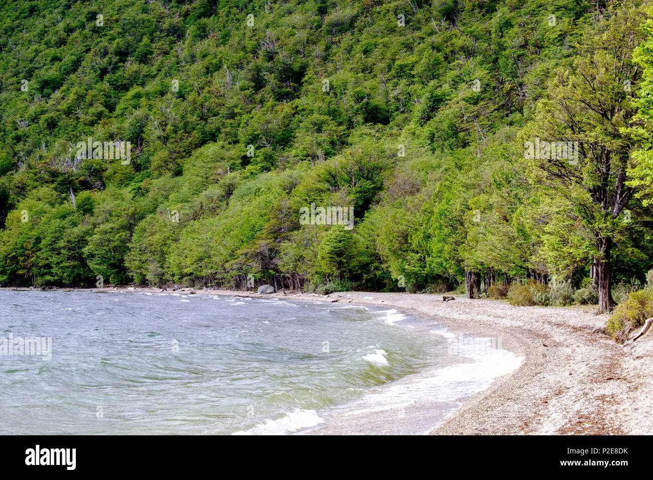 Beach and coastline of Lake Acigami in Tierra del Fuego National Park ...