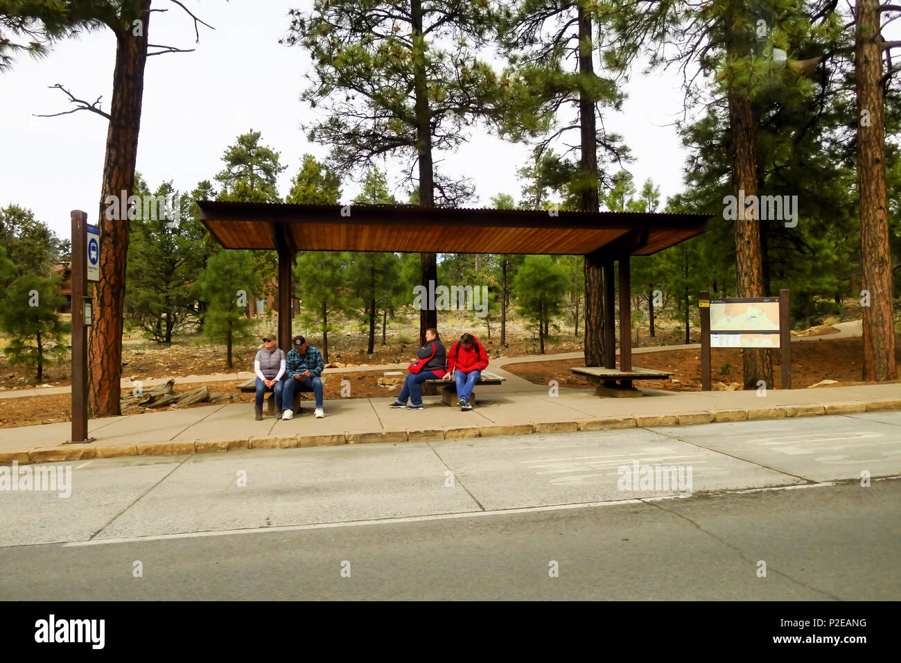 People waiting at a little bus stop in a forest in Grand Canyon ...