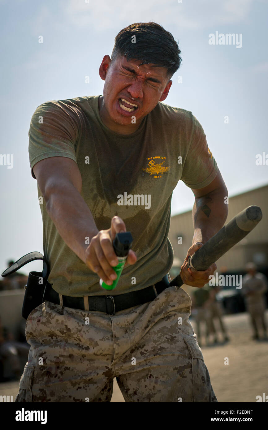 U.S. Marine Corps Sgt. Bryan Luna, team chief with Detachment N, 3rd ...