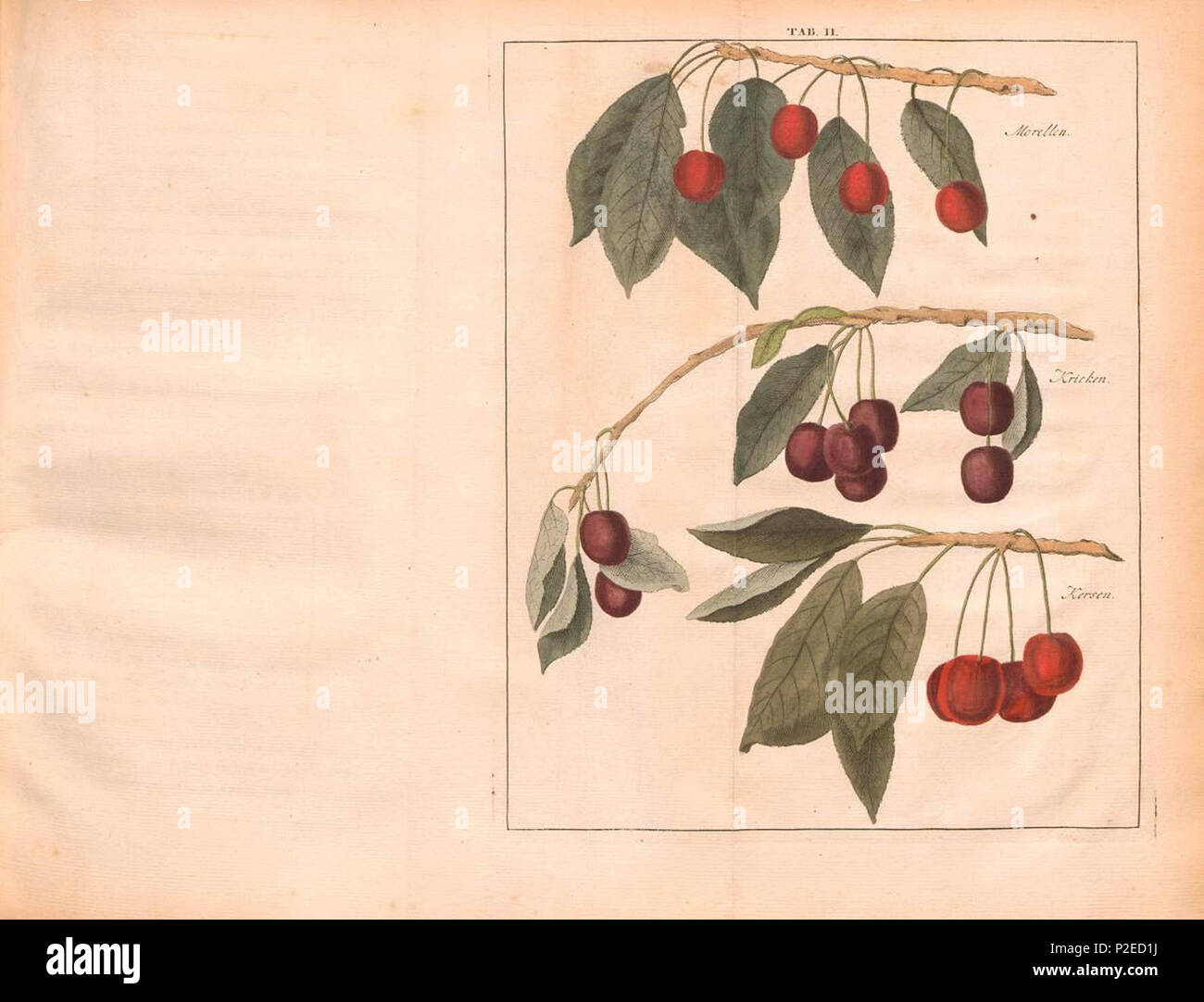 Historical Cornell University High Resolution Stock Photography and ...