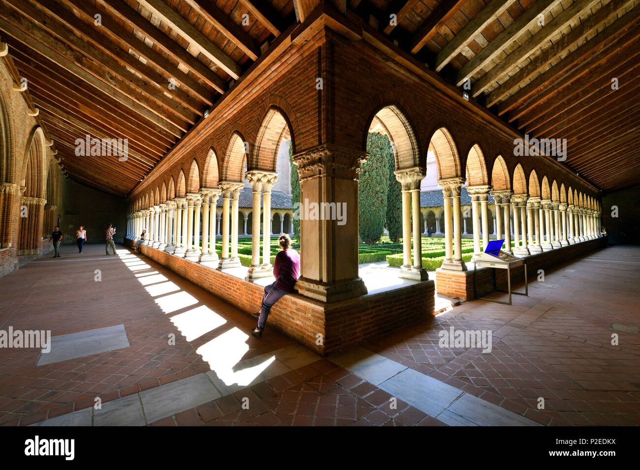 Jacobin group hi-res stock photography and images - Alamy