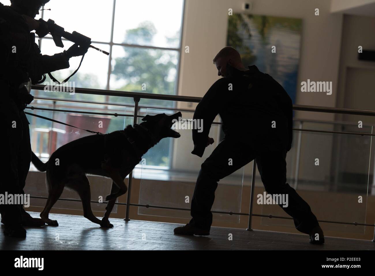 Soldiers from the Military District of Washington Special Reaction Team ...