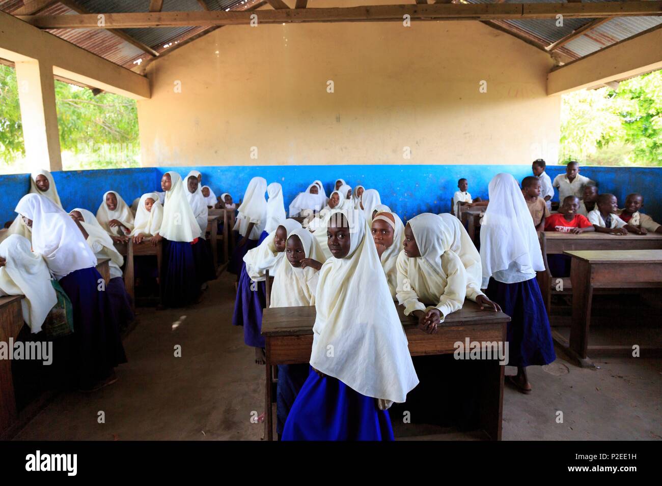 Tanzania, Zanzibar archipelago, Unguja island (Zanzibar), Matemwe ...
