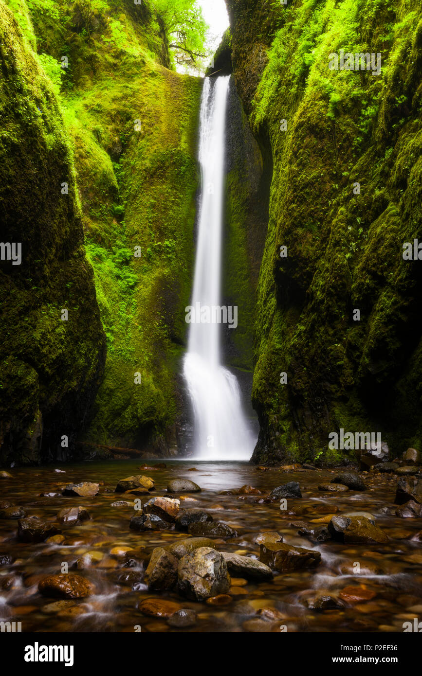 Lower Oneonta Falls in the Columbia River Gorge in Oregon. This is one ...