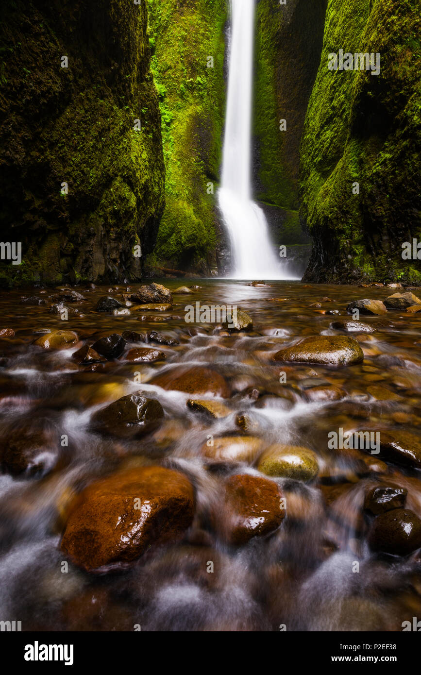 Lower Oneonta Falls in the Columbia River Gorge in Oregon. This is one ...