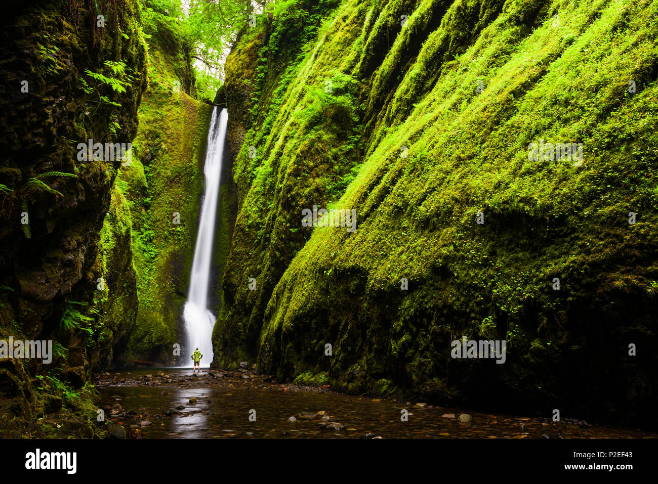 A hiker stands under Lower Oneonta Falls in the Columbia River Gorge in ...