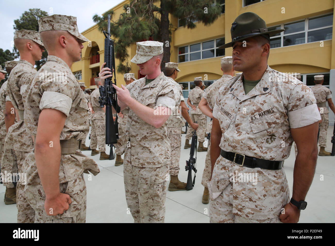 Drill Instructor From 1st Battalion High Resolution Stock Photography ...