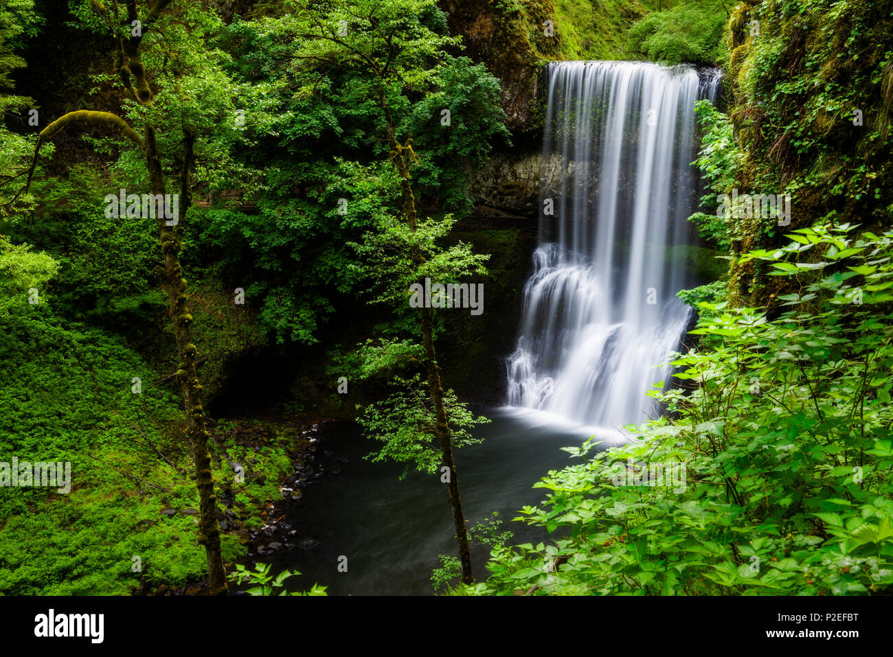 Lower North Falls at the Silver Falls State park in northern Oregon ...