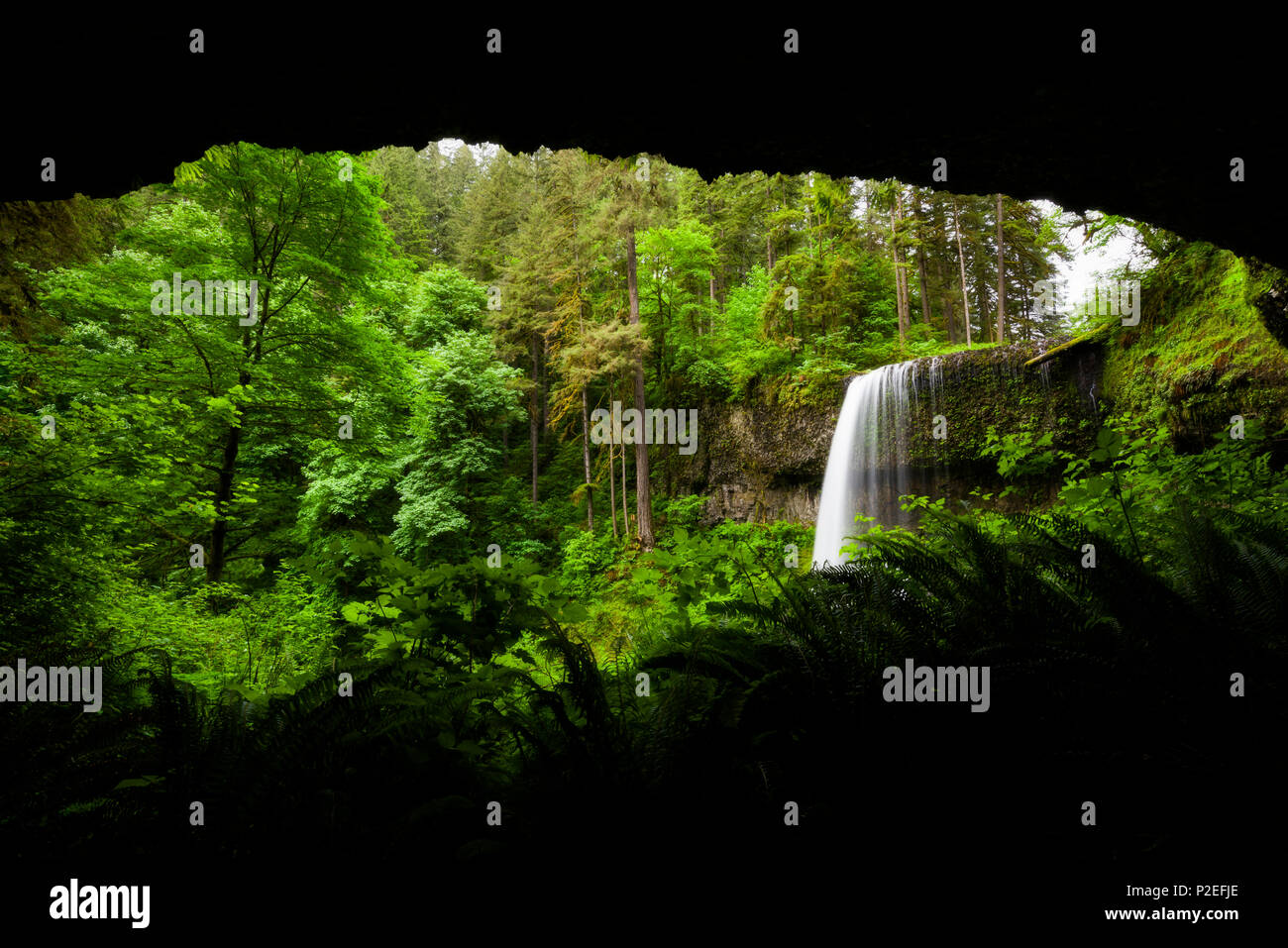 Middle North Falls at the Silver Falls State park in northern Oregon ...