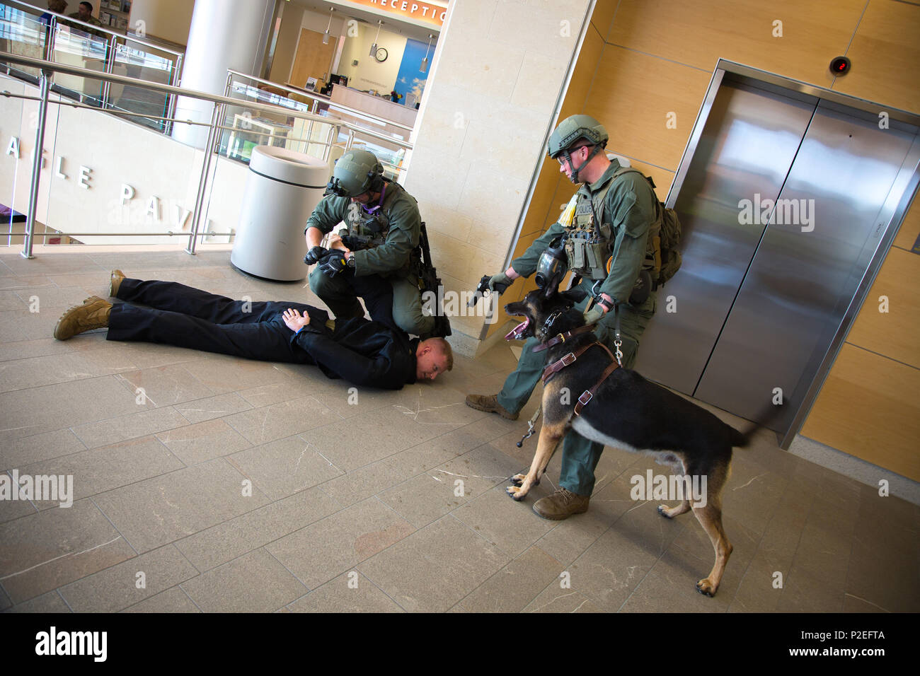 U.S. Soldiers assigned to The Old Guard 289th Military Police Company's ...