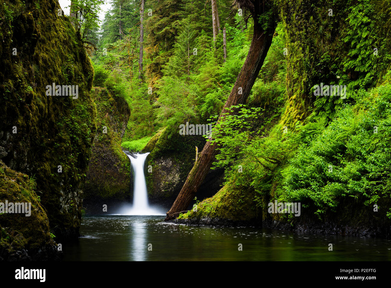 Best hikes in the columbia gorge hi-res stock photography and images ...
