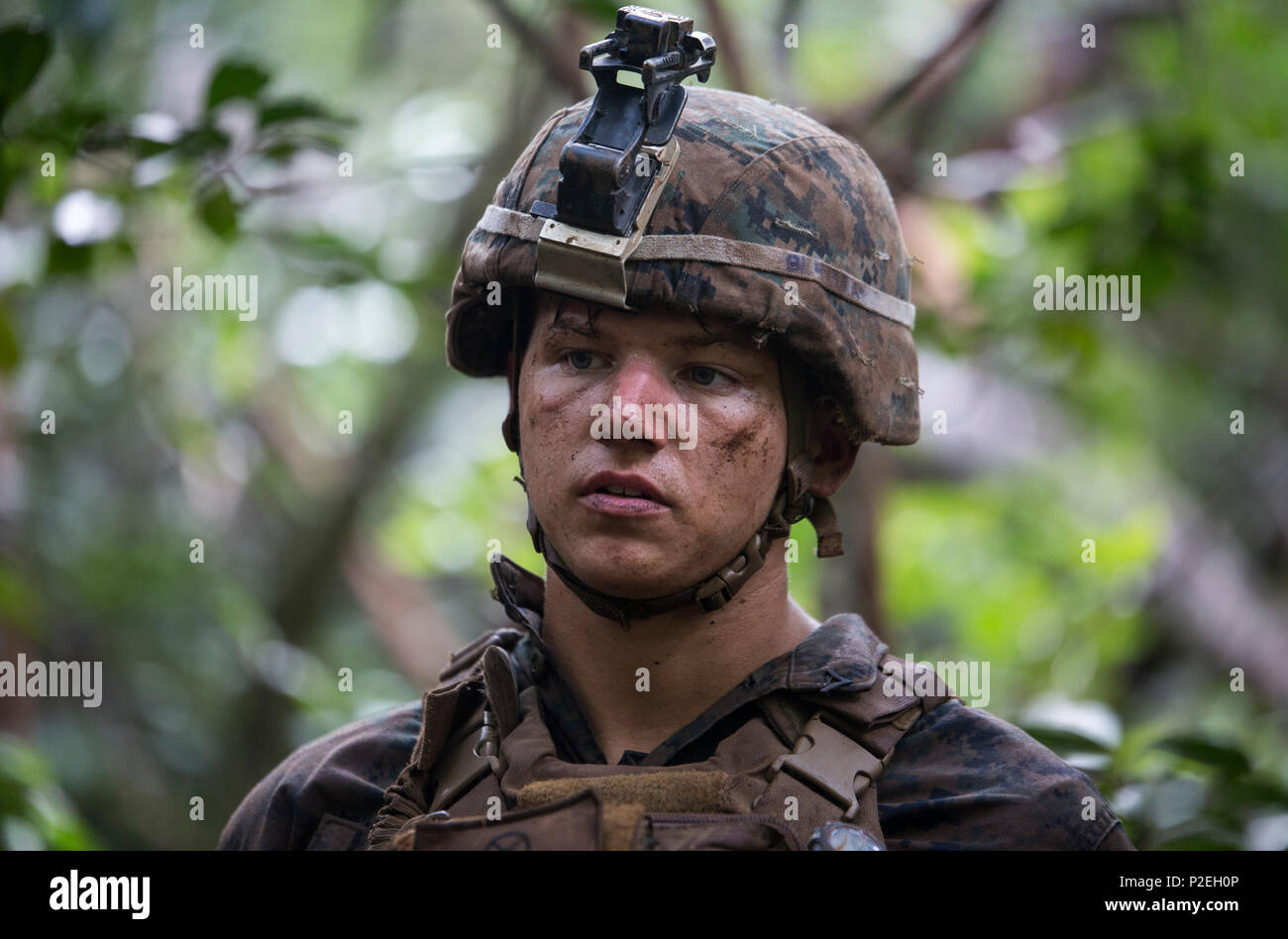 0311 rifleman hi-res stock photography and images - Alamy