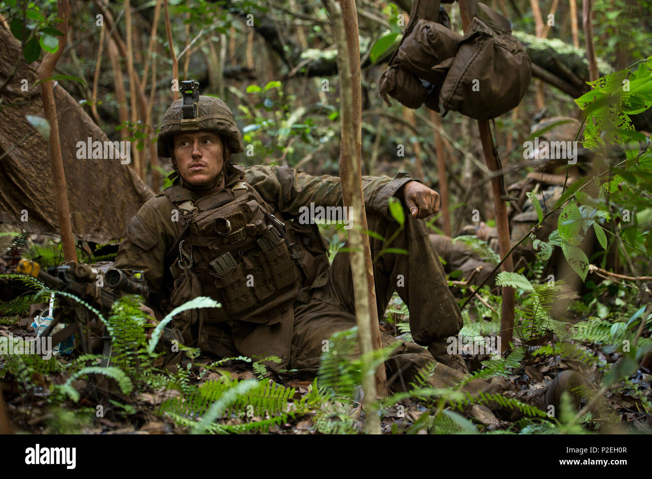 0311 rifleman hi-res stock photography and images - Alamy