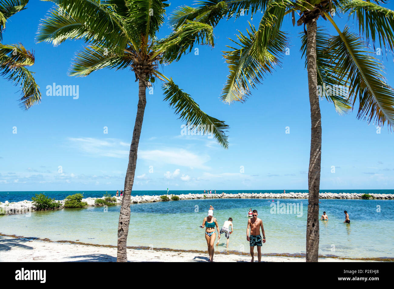 Florida,FL South,Upper Key Largo Florida Keys,Tavernier,Harry Harris ...