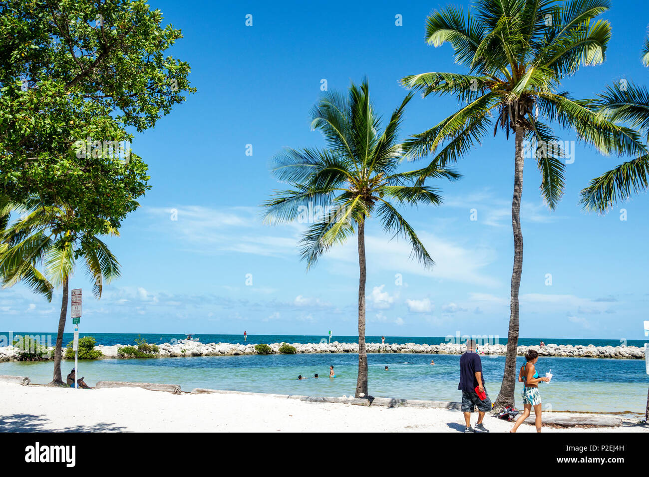 Florida,FL South,Upper Key Largo Florida Keys,Tavernier,Harry Harris ...
