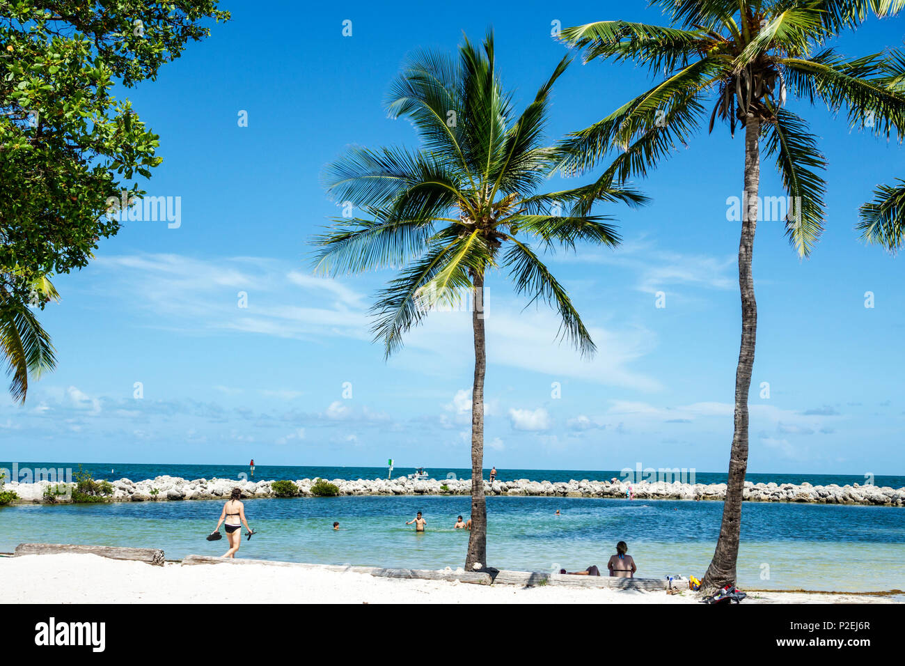 Florida,FL South,Upper Key Largo Florida Keys,Tavernier,Harry Harris ...
