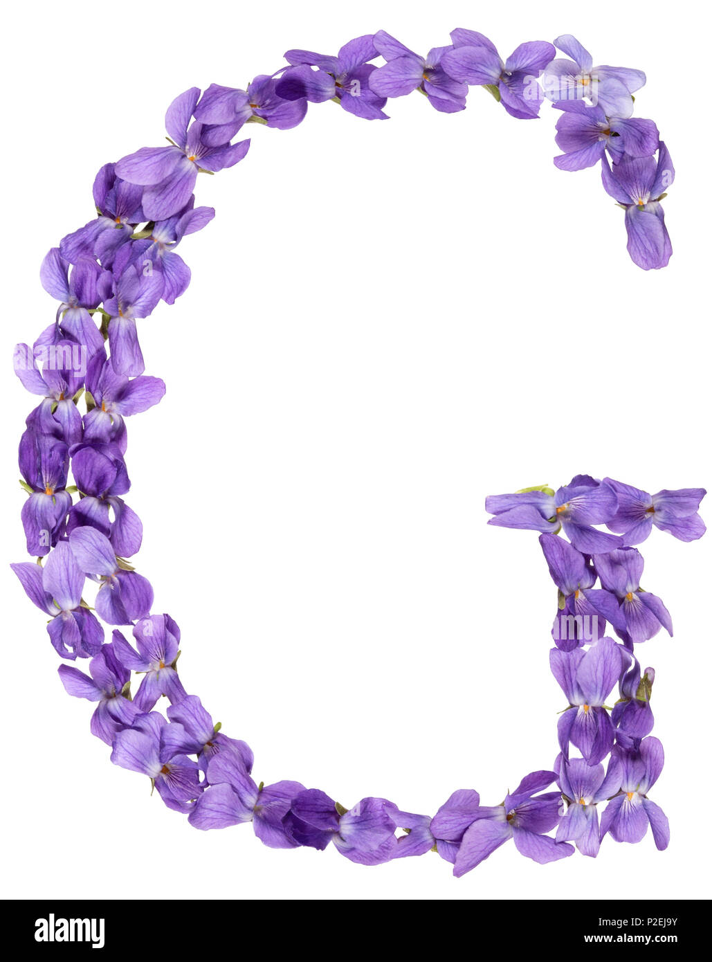 Letter G Flowers Stock Photos & Letter G Flowers Stock Images - Alamy