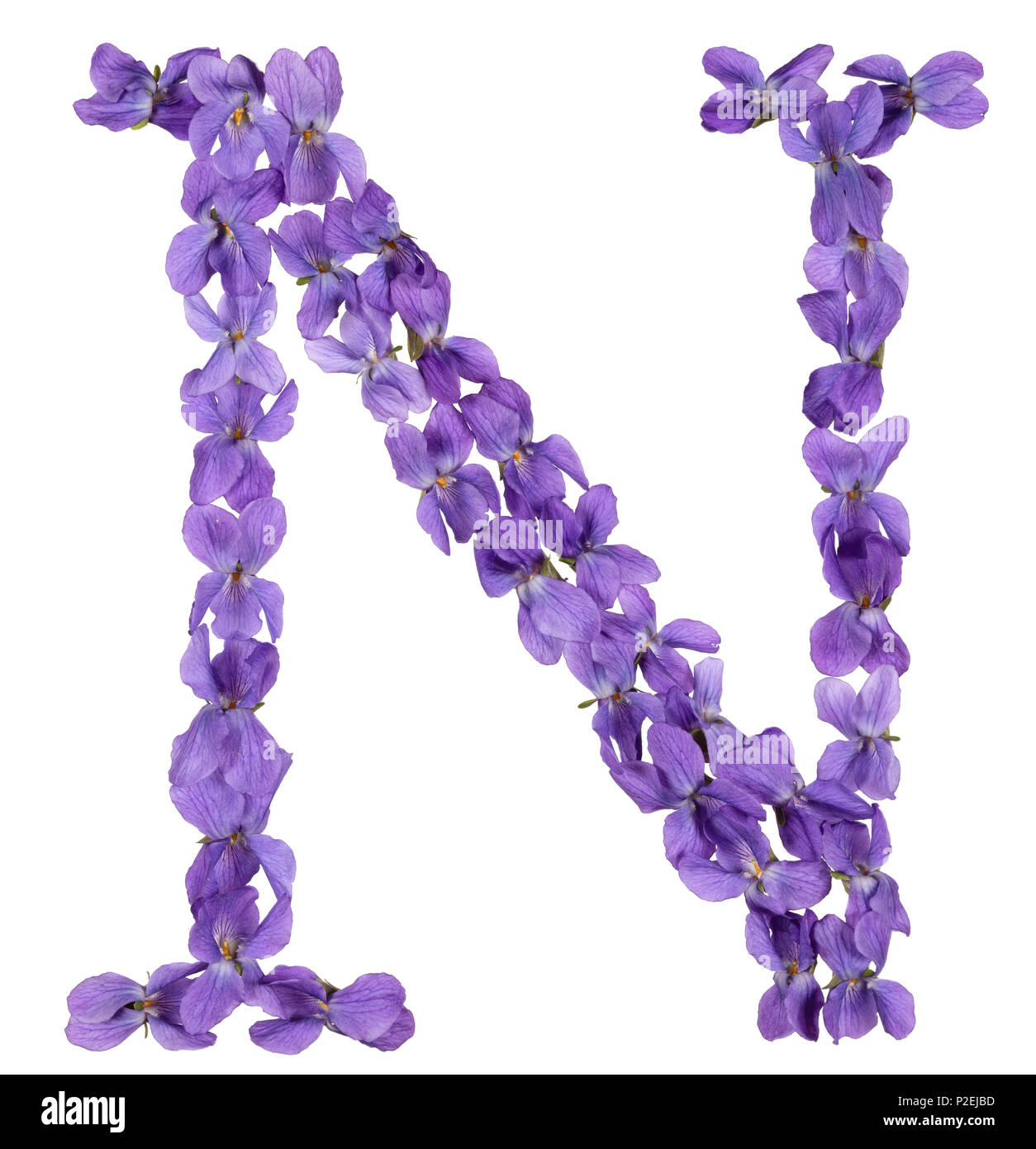 Letter N Flowers High Resolution Stock Photography and Images - Alamy