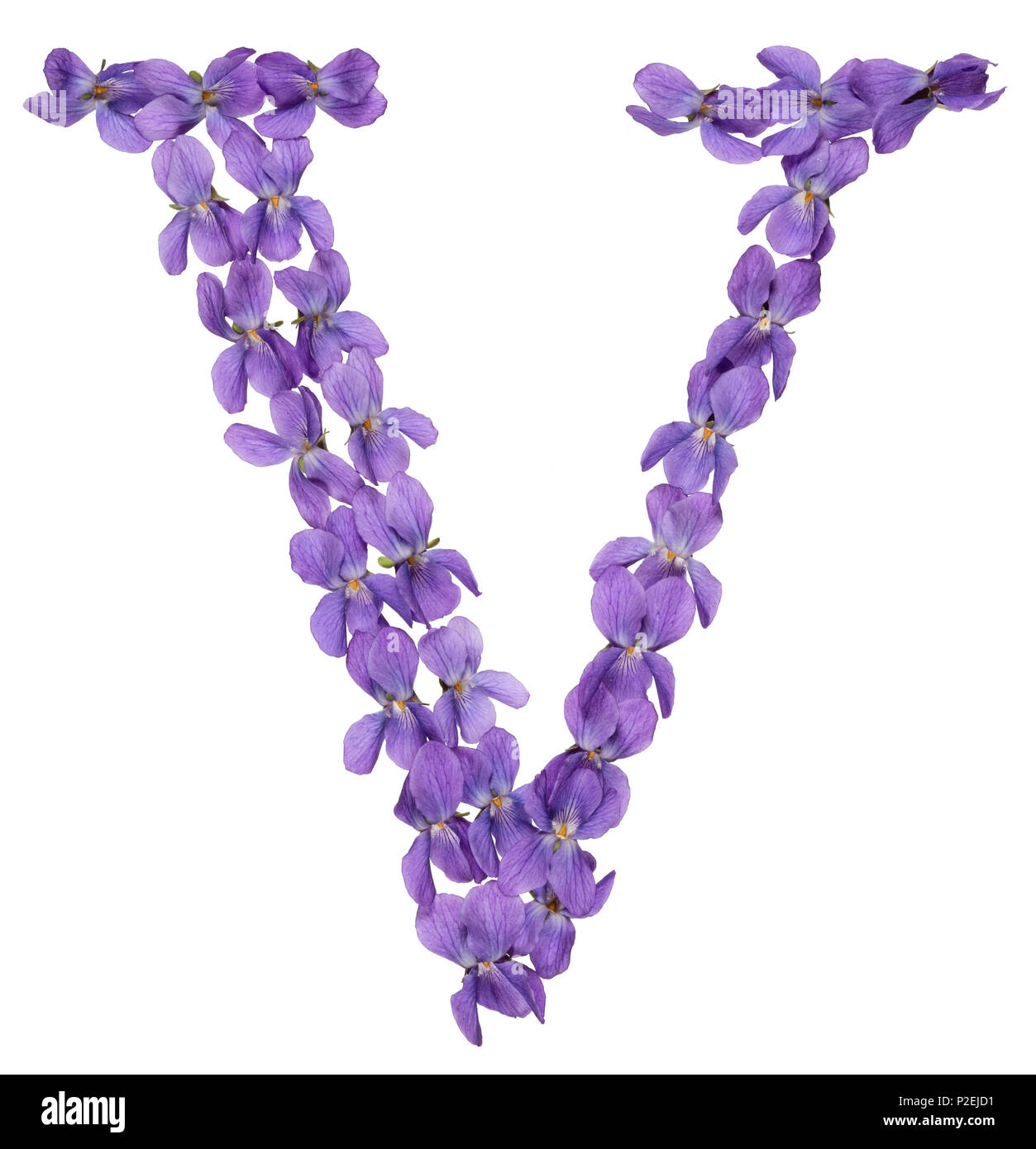 Floral Font Letter V Stock Photos & Floral Font Letter V Stock Images ...