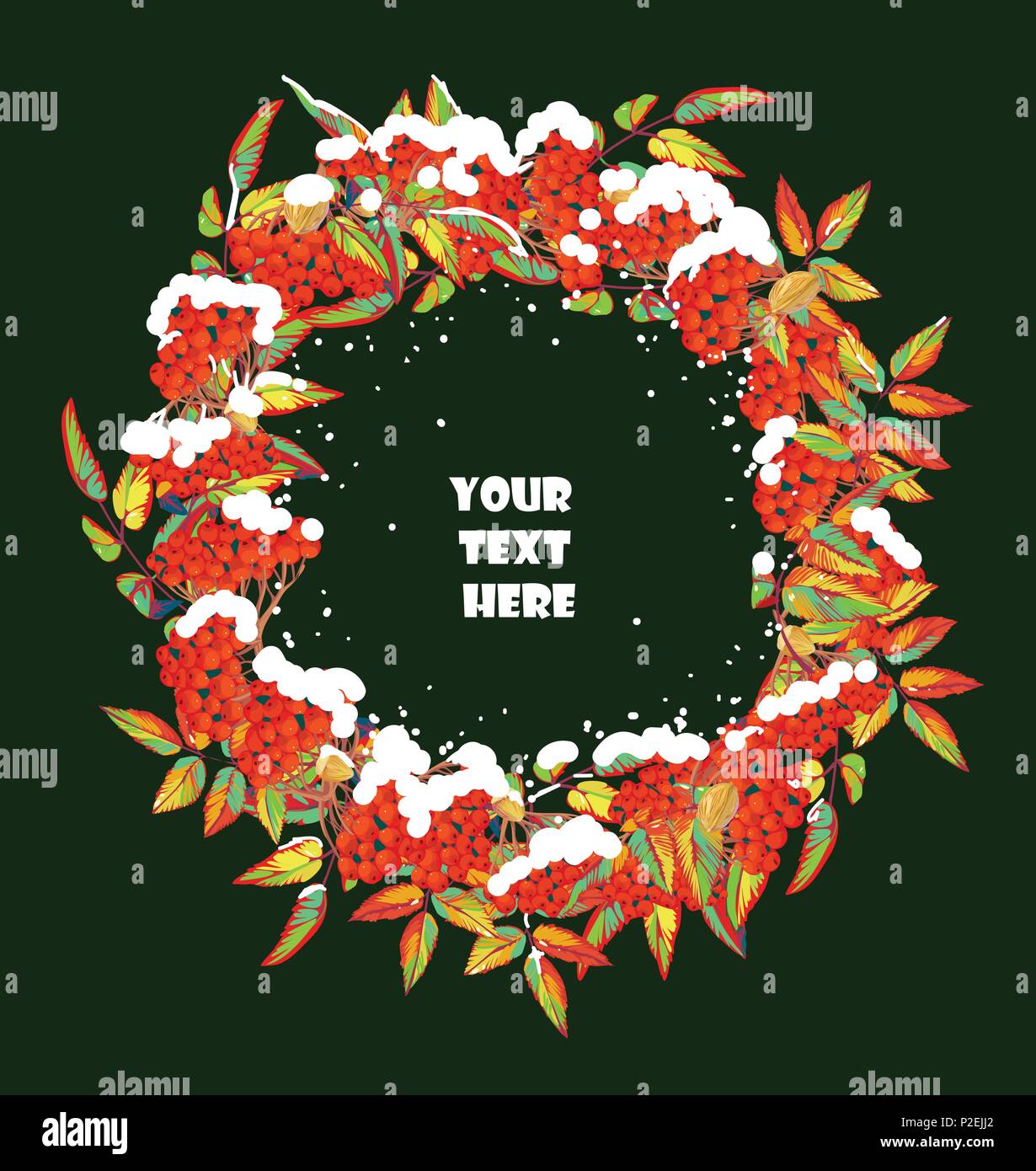 festive wreath made of branches of mountain ash. winter decoration ...