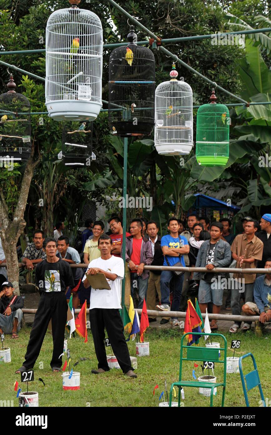 Bird cage in yogyakarta hi-res stock photography and images - Alamy