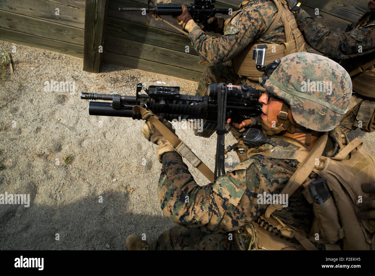U.S. Marines with 2nd Light Armored Reconnaissance Battalion, Bravo ...