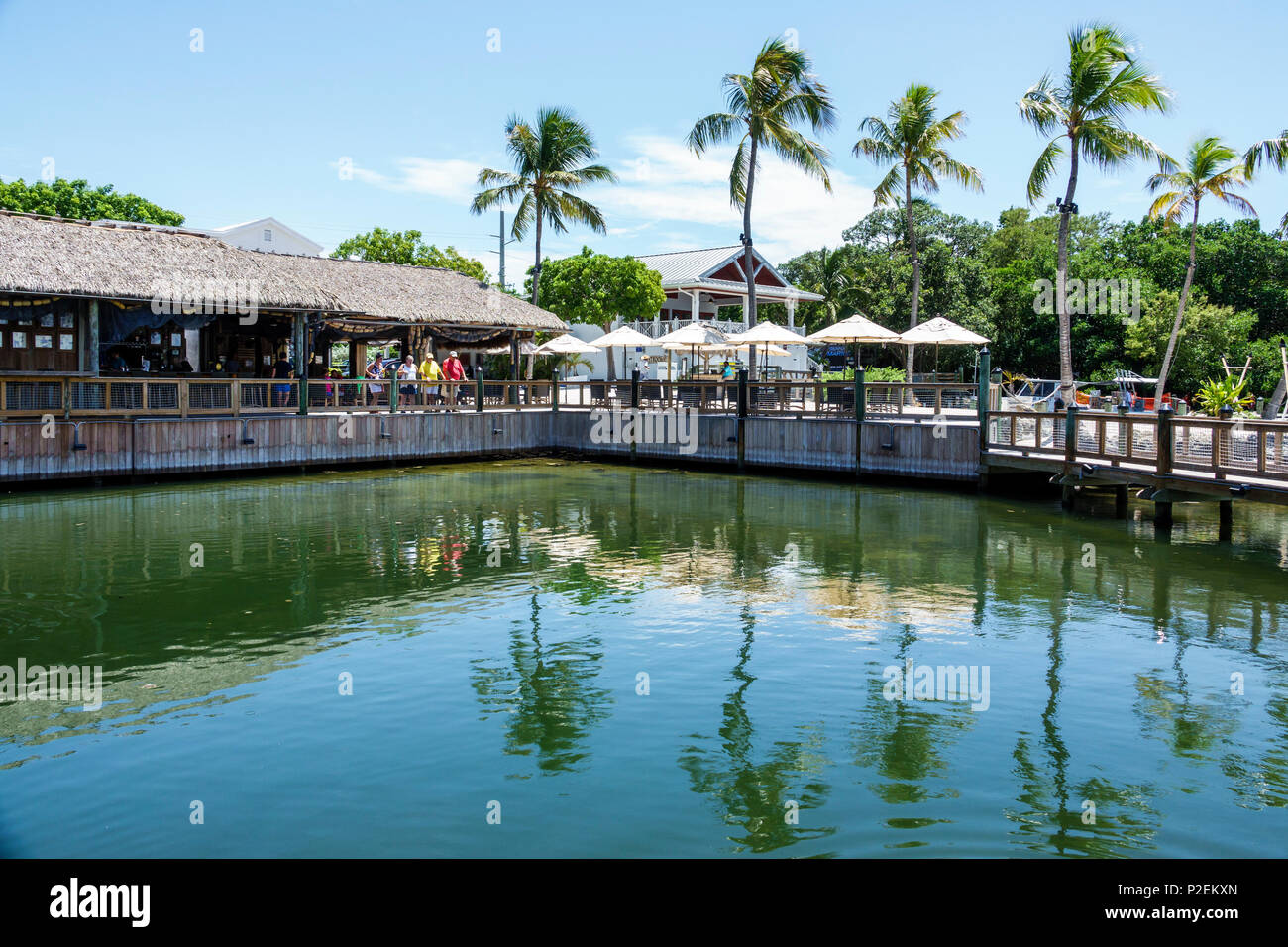 Florida,FL South,Upper Florida Keys,Islamorada,Islamorada Fish Company ...