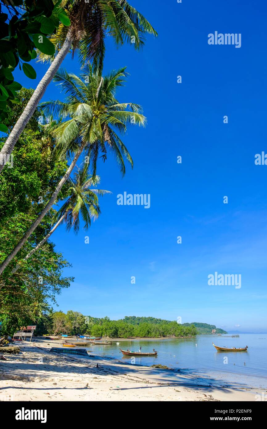 Thailand, Trang province, Ko Sukorn island, the beach near Ban Siammai ...