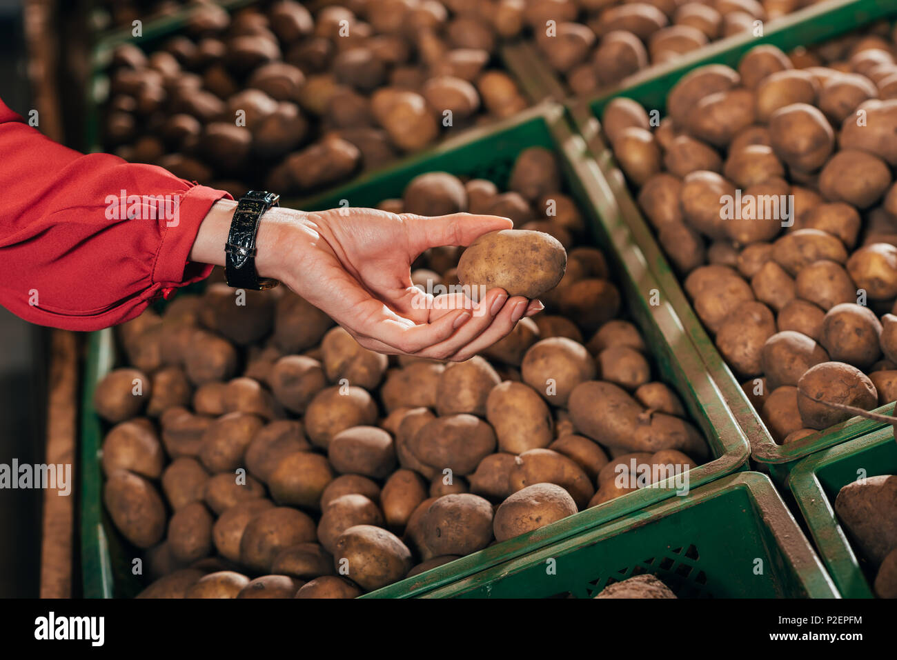 partial view of shopper choosing fresh raw potato in hypermarket Stock ...