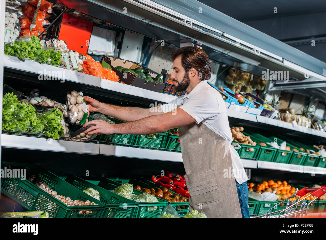 male shop assistant in apron arranging fresh vegetables in grocery shop ...