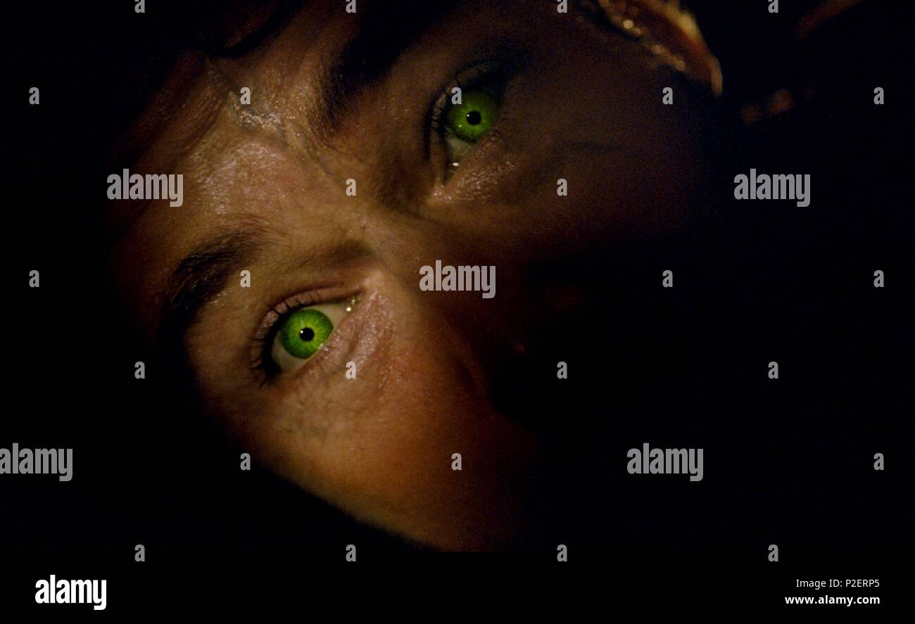Original Film Title: THE INCREDIBLE HULK. English Title: THE INCREDIBLE ...